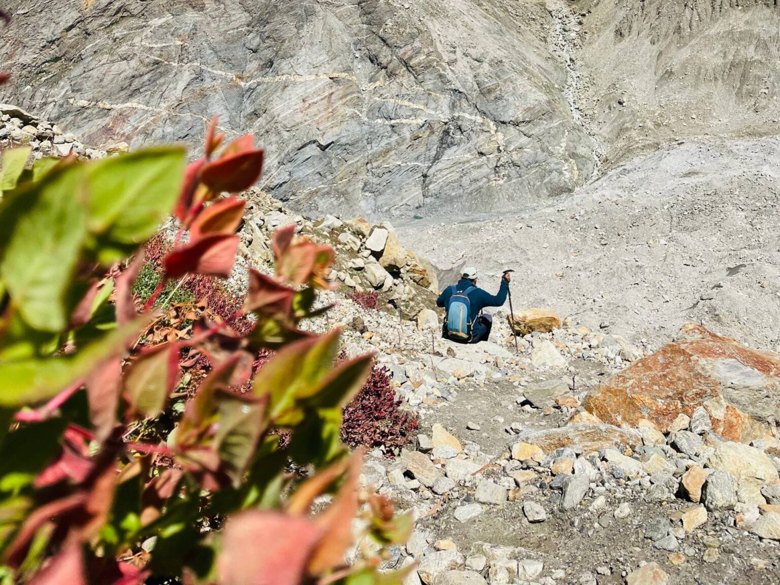 Trekking in Gangotri: Best Destinations of Greater Himalayan Ranges