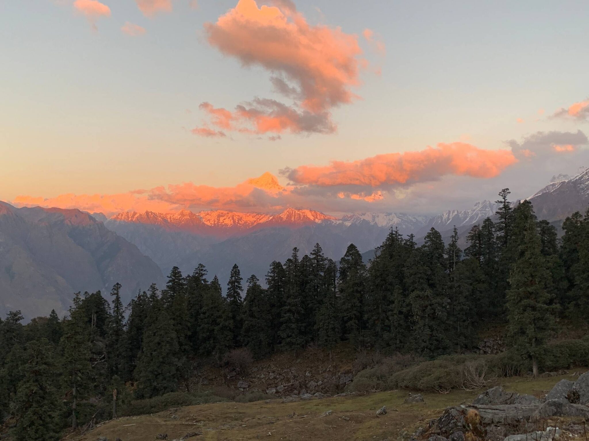 Kuari Pass Trek 2026 | Itinerary, Package, Best time & Map