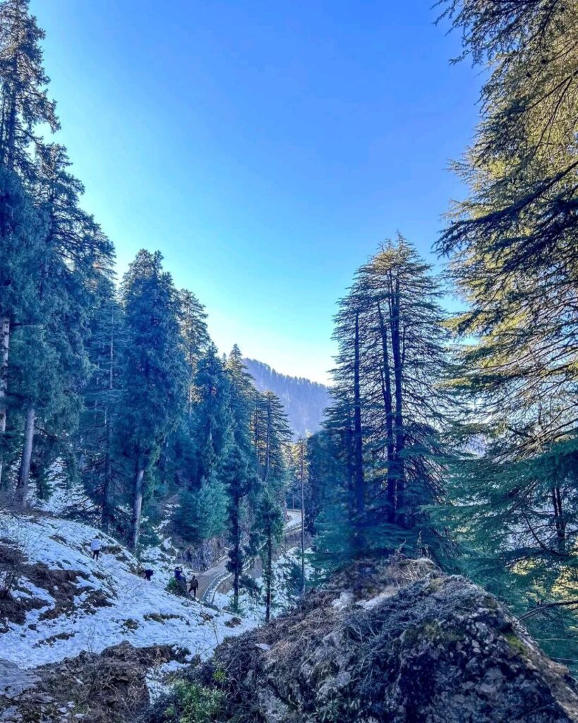 Chopta: A Silent Hill Station in Uttarakhand