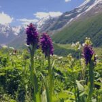 Top Spots in Uttarakhand to See Towering Peaks