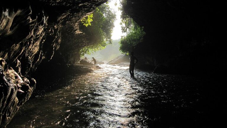 7 Best Waterfalls in Dehradun You Must Visit