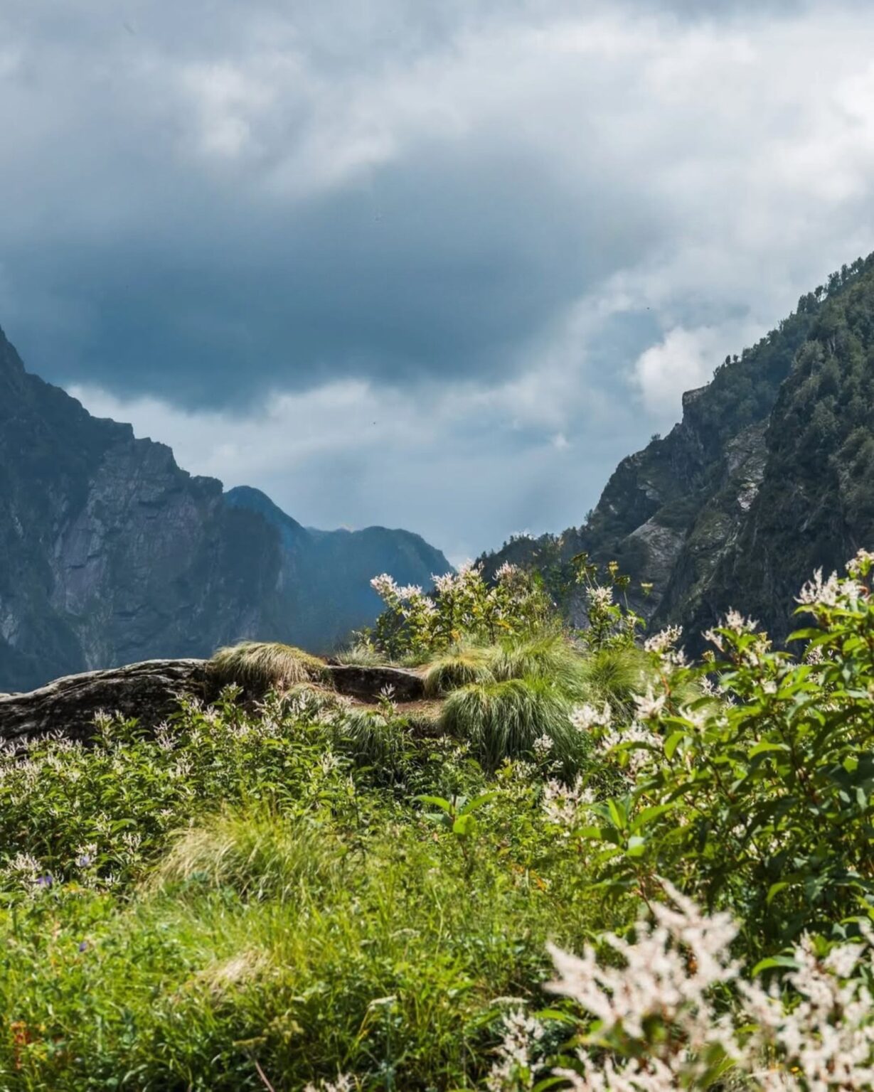 Valley of Flowers National Park, Uttarakhand