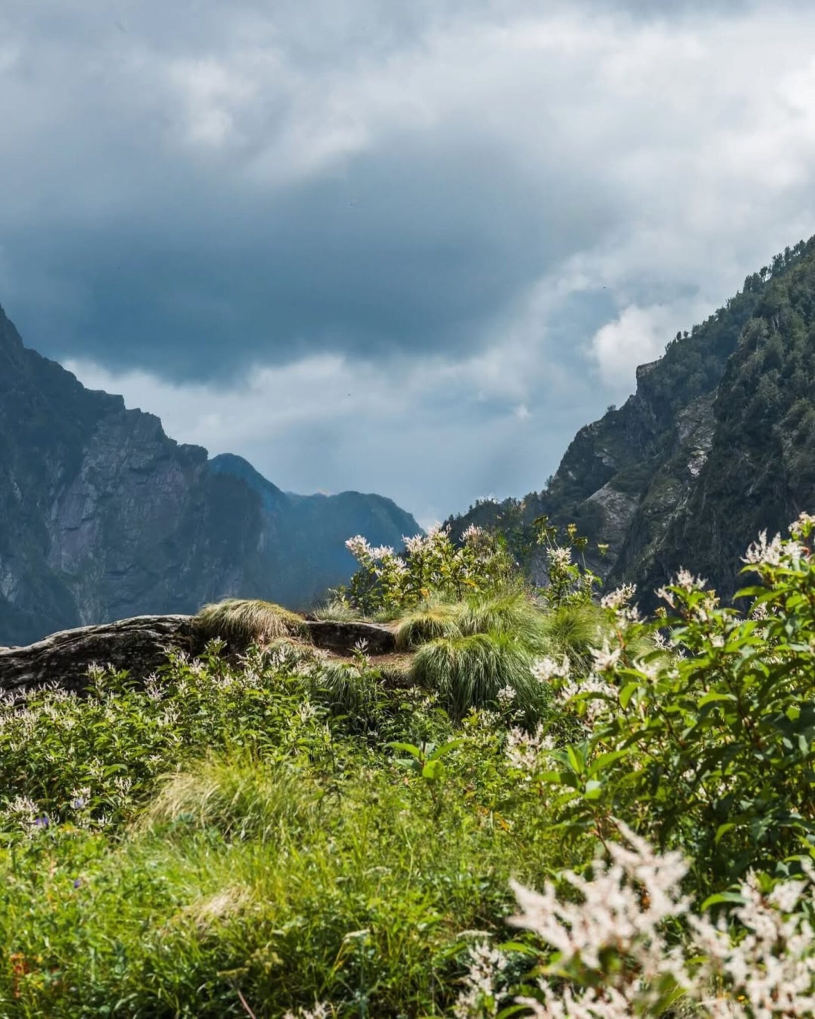 Valley of Flowers National Park, Uttarakhand