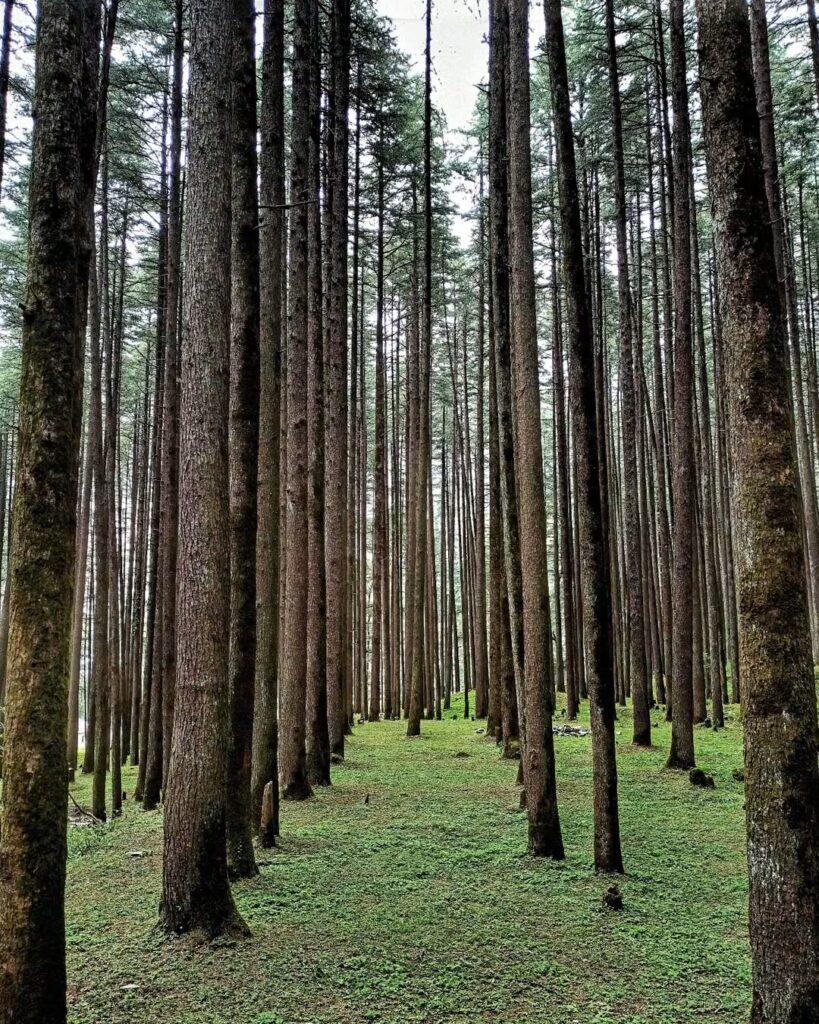 Devalsari Temple: History, How to Reach, Complete Travel Guide