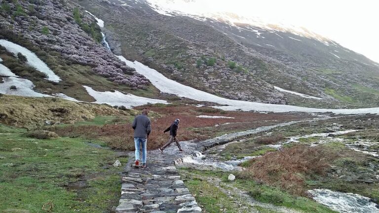 Top Spots in Uttarakhand to See Towering Peaks