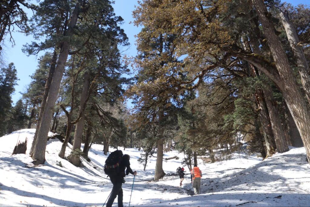 Pangarchulla Peak Trek 2026 - Himalayan Dream Treks