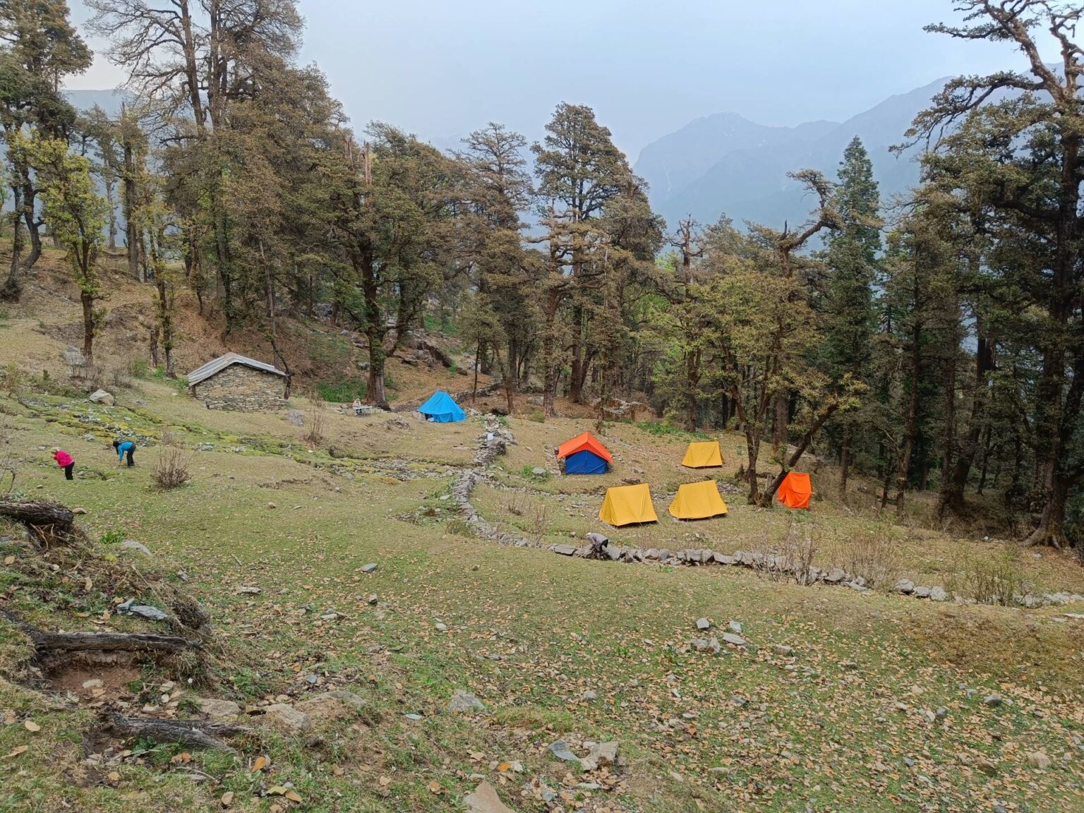 7 Best Monsoon Treks in Uttarakhand – Detailed Guide